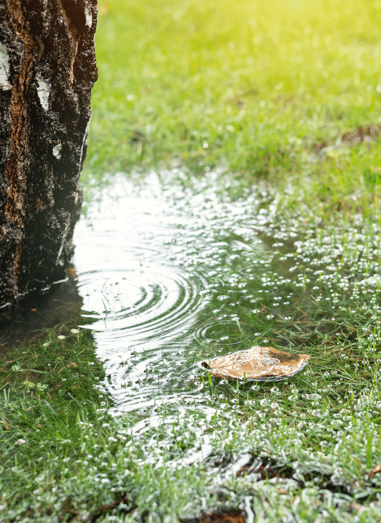 How the Clay Bowl Effect Gets Worse in Cold, Wet Weather